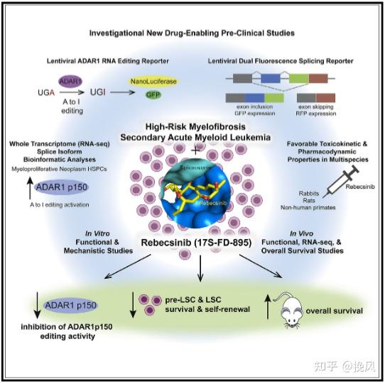 加州大学首创小分子药物Rebecsinib逆转癌症过度编辑，有望控制sAML和骨髓纤维化的耐药和复发 - 知乎