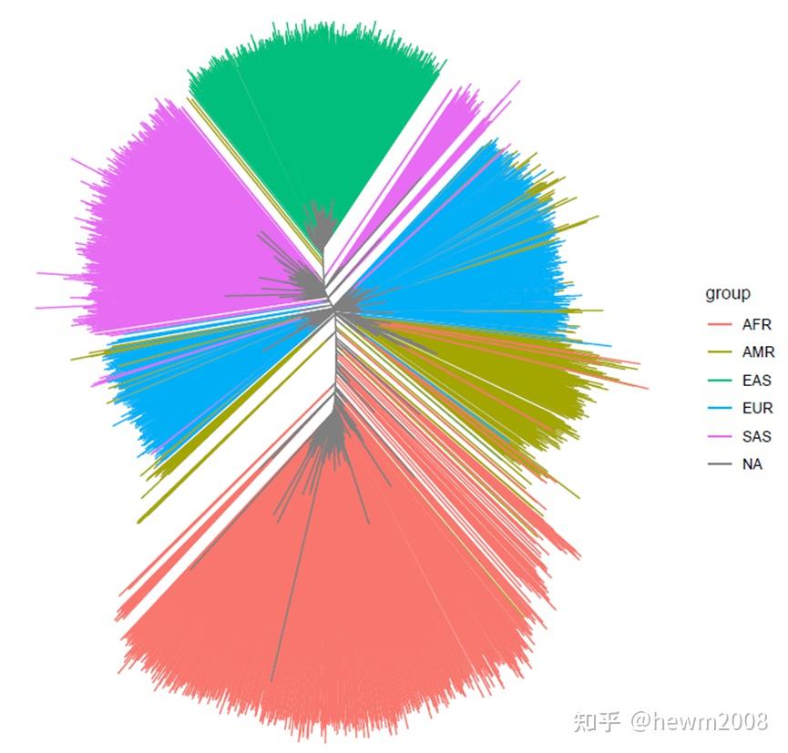 VCF2Dis 升级 1.52 及讨论 （关系树 vs 物种树） - 知乎
