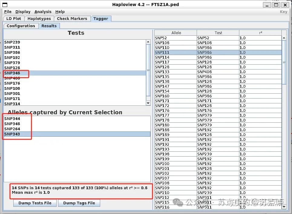 Haploview使用教程 | 单倍型分析 - 知乎