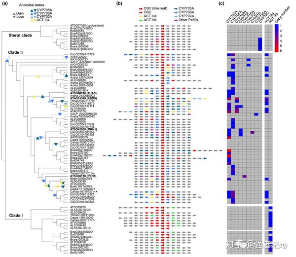 相似基因簇，不同代谢物！ - 知乎