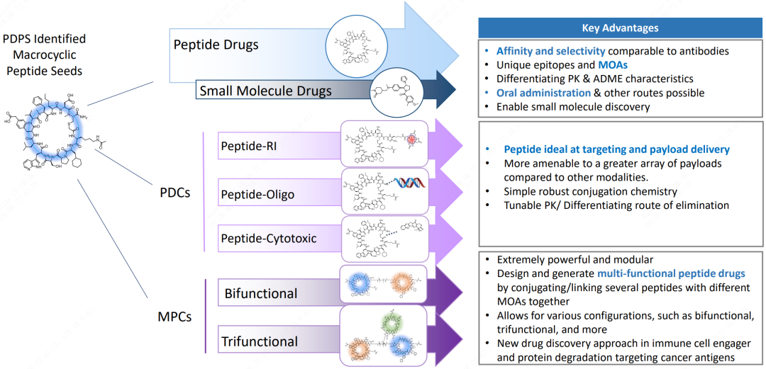 企业透视 | 环肽与核药演绎的优美华尔兹--Peptidream - 知乎