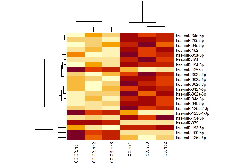 【R语言】热图绘制-heatmap函数+默认配色方案 - 知乎