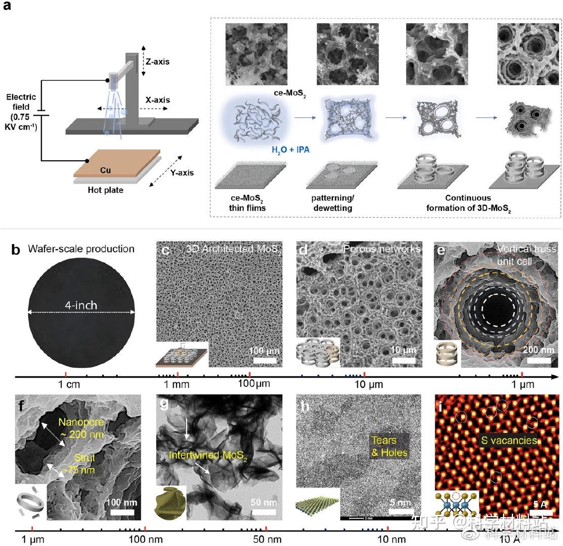 Nat. Commun.：自组装三维多层级MOS2泡沫结构助力高倍率及电化学稳定的锂离子电池负极 - 知乎