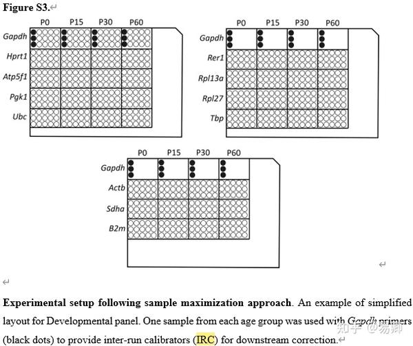 一文搞定！RT-qPCR流程设计 - 知乎