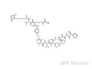 瑞禧研究MC-vc-PAB及衍生物系列：MMAE/MMAD/MMAF/C6-a-amanitin/TubulysinM/Auristat - 知乎