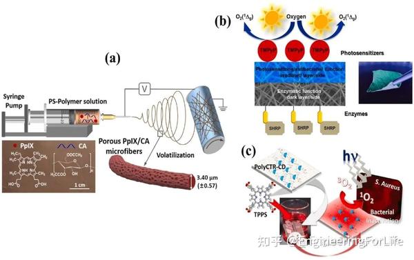 《Bioact. Mater.》综述：光动力抗菌治疗的研究进展 - 知乎