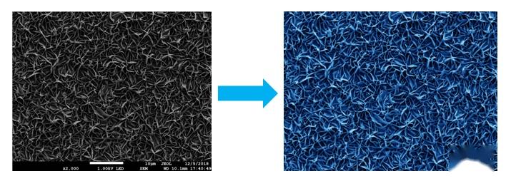 因为SEM图片处理得好，这篇Science被引用3280次！ - 知乎