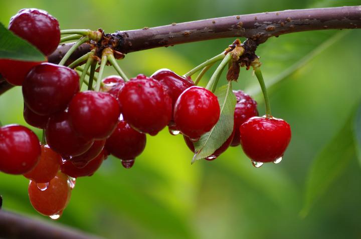 Elsevier Editorial Manager 投稿系统上传latex源文件编译错误解决方案 - 知乎