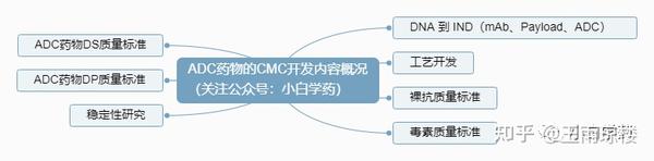 ADC药物CMC策略 - 知乎