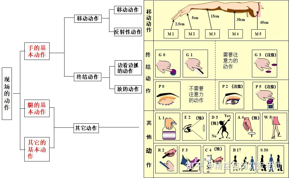 MOD（模特法）动作分析法 - 知乎