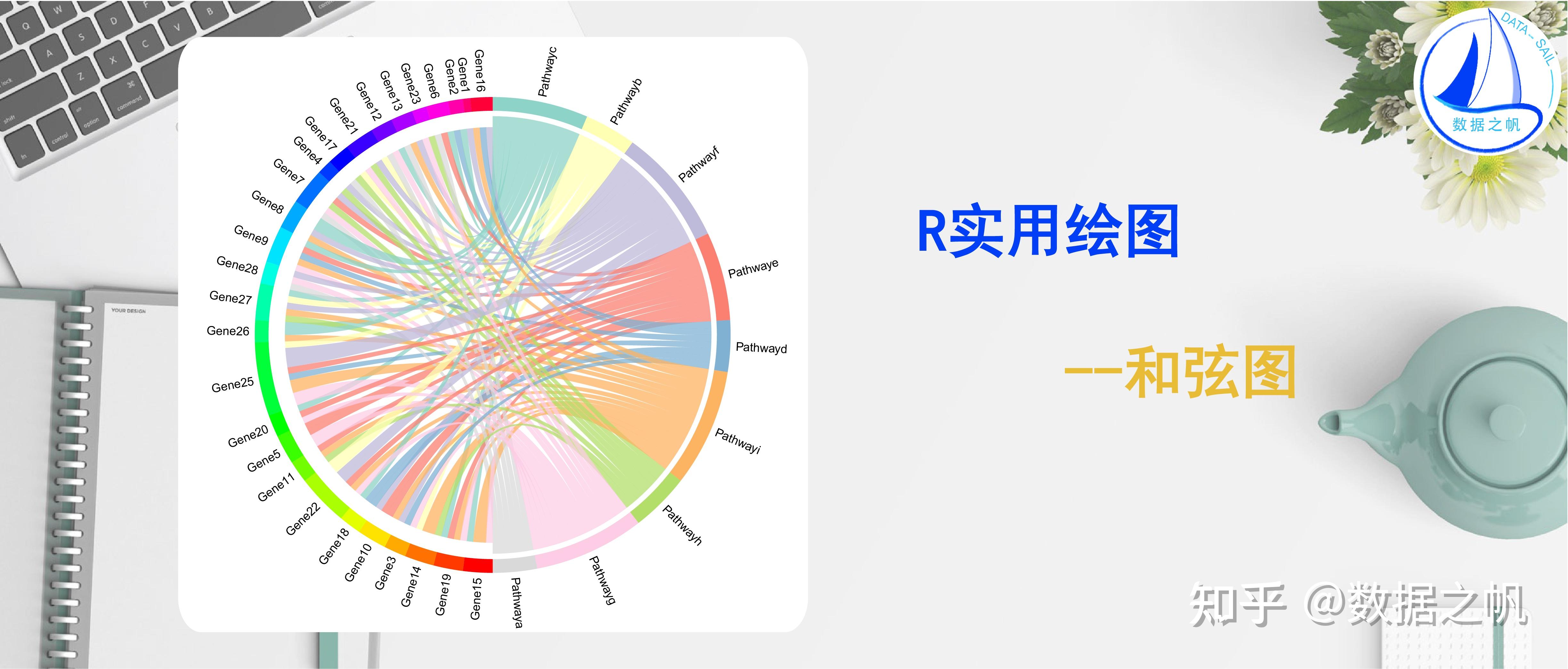 R实用绘图--弦图 / circlize包 - 知乎