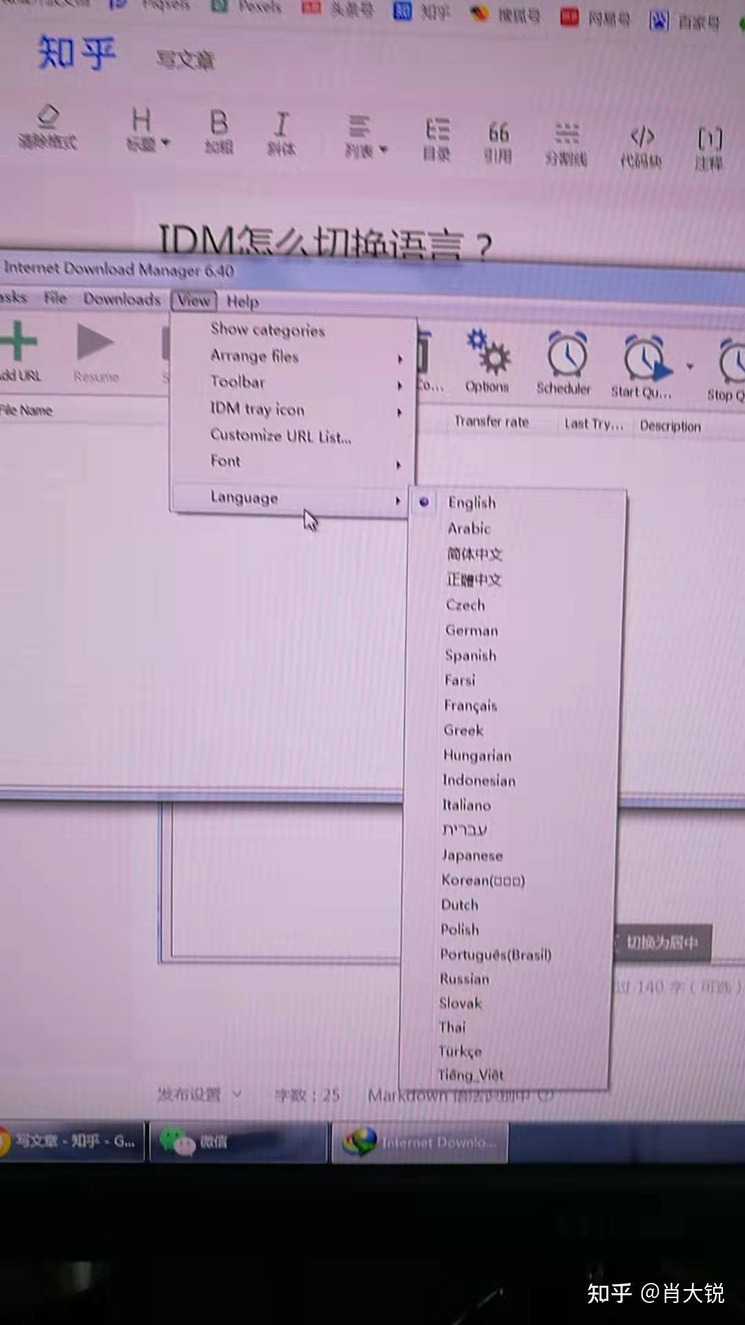 IDM怎么切换语言？ - 知乎
