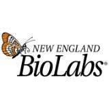 超实用高通量 NEBuilder 无缝组装应用案例大全！合成生物学研究者的福音 - 知乎