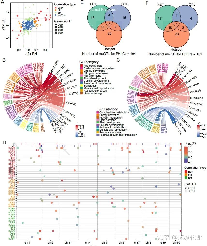 育种新进展！中国农科院GWAS鉴定bZIP29为玉米杂交优势关键基因 - 知乎