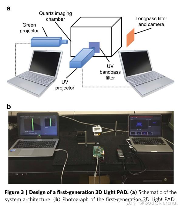 论文整理: A volumetric three-dimensional digital light photoactivatable dye ...