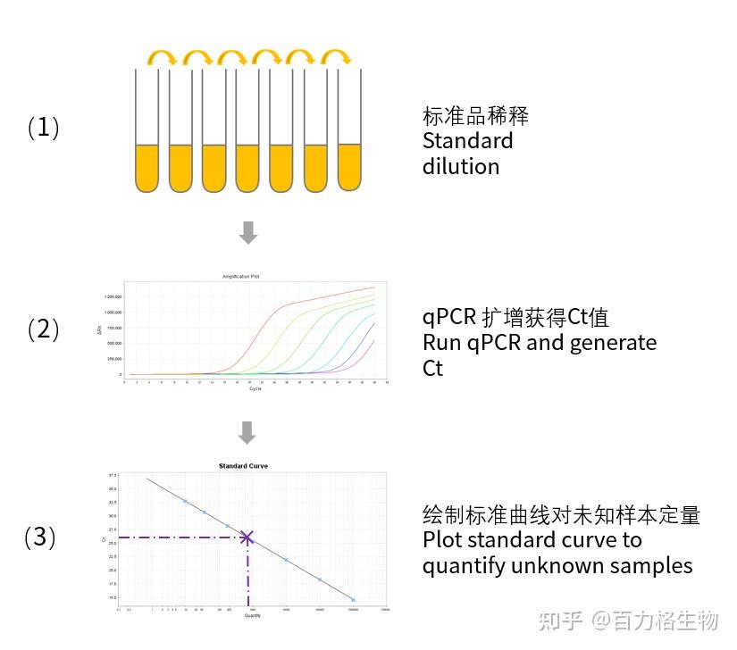 绝对定量的标准品如何制作？ - 知乎