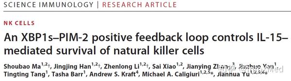 Sci Immuno丨IL-15调控NK细胞存活和功能新机制 - 知乎
