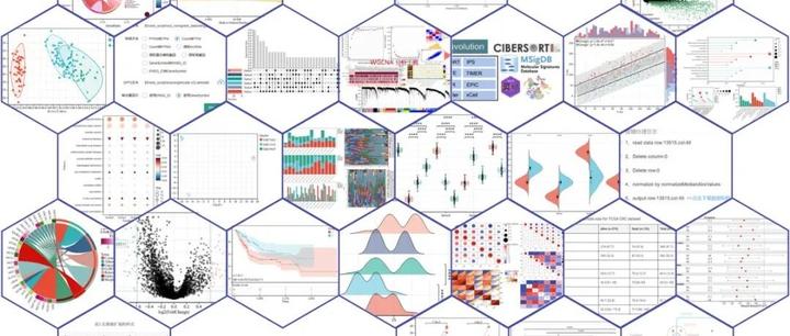 Sangerbox: clinical bioinformatics analysis platform - 知乎