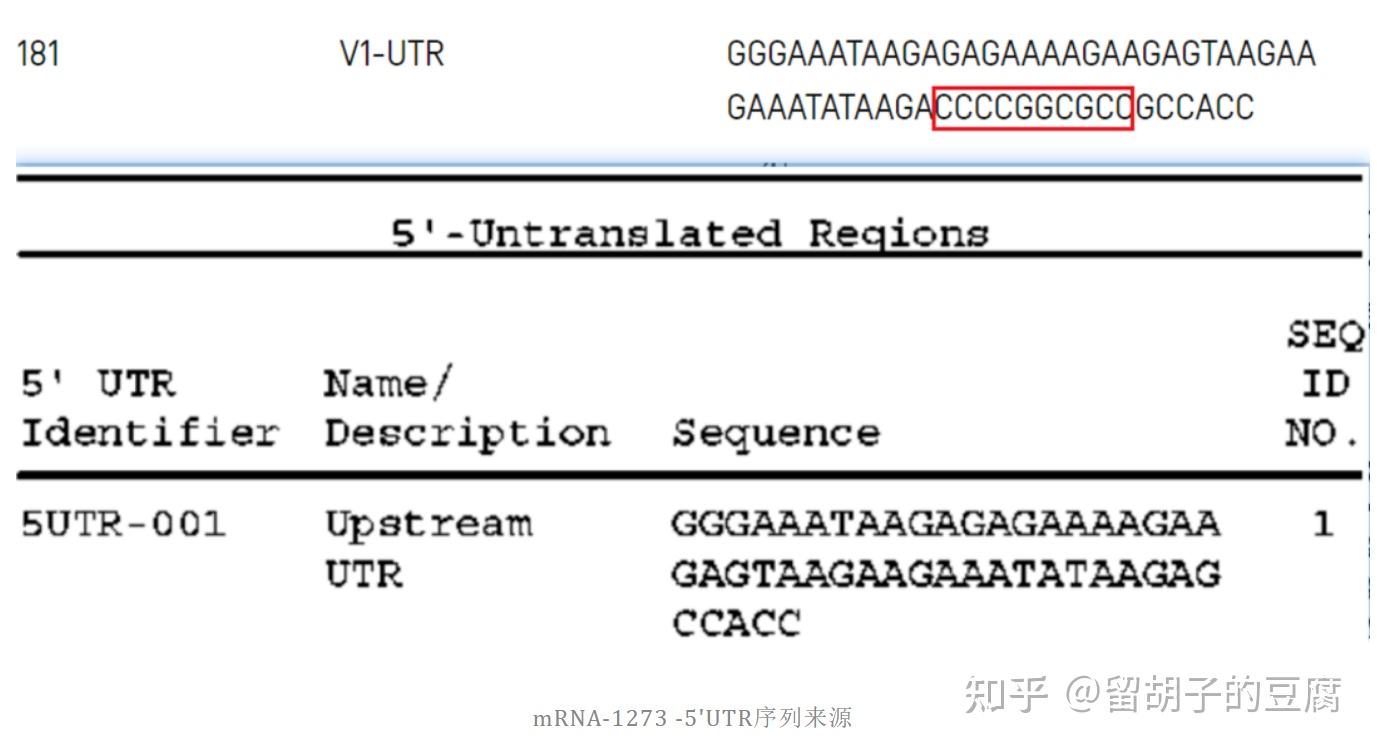 改变5'UTR结构，控制翻译效率 - 知乎