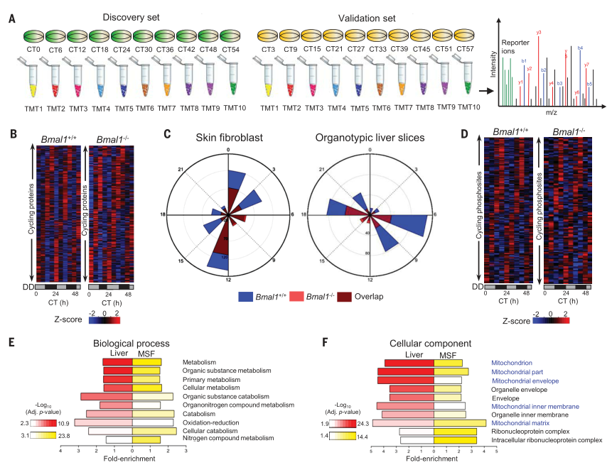 Cell、Nature和Science三大期刊发表代表性组学文章汇总-AigenX-云杰生物
