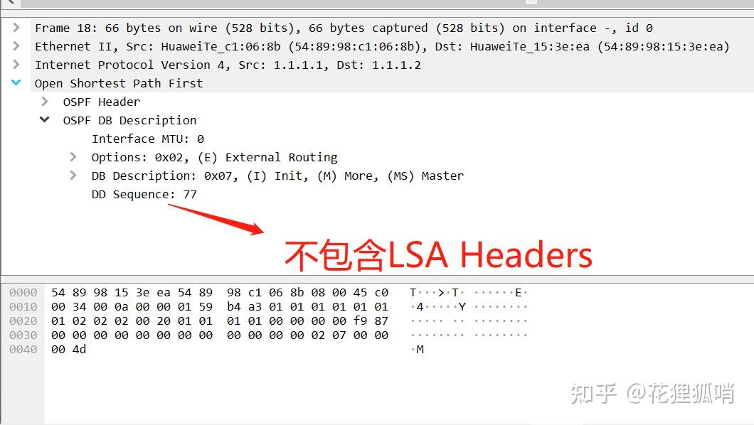 OSPF报文格式 - 知乎