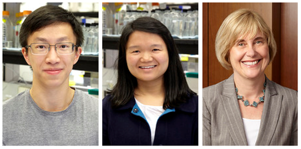 Science︱耶鲁大学科研团队解析了移动内含子逆转录元件结合特定DNA底物的复合物结构 - 知乎