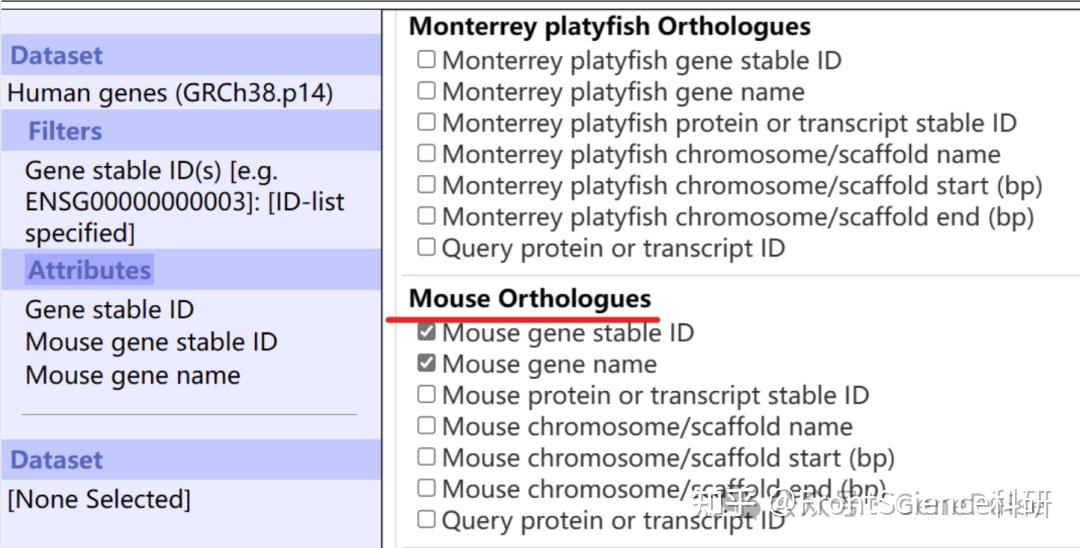 常规转录组入门分析——Gene ID转换 - 知乎