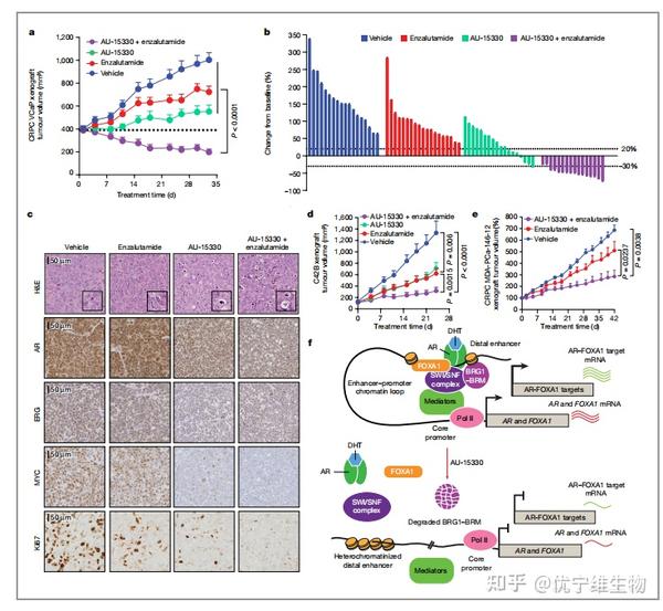 两篇Nature！染色质重塑机制与研究新解 - 知乎
