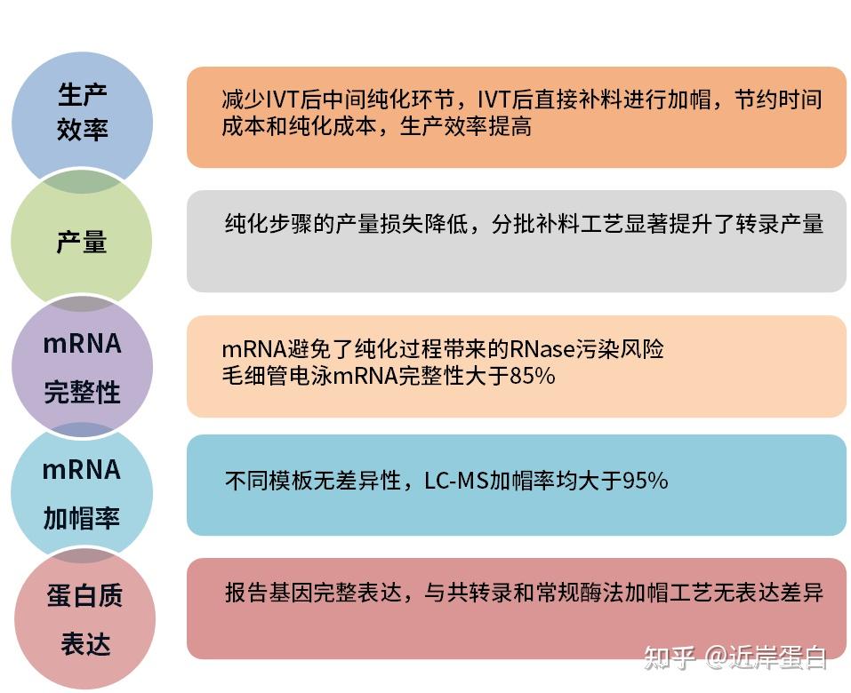 近岸蛋白发布“一管式”高效mRNA合成工艺 - 知乎