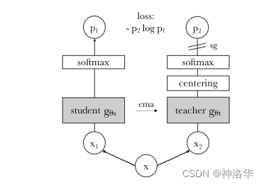 李沐论文精读系列三：MoCo、对比学习综述（MoCov1/v2/v3、SimCLR v1/v2、DINO等） - 知乎