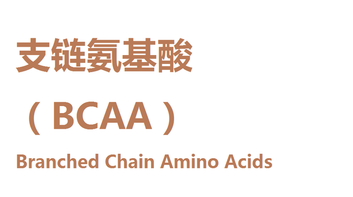 支链氨基酸 (BCAA) 分解代谢调节酶、支链氨基转移酶 (BCAT) 和支链 α-酮酸脱氢酶 (BCKD) 在人类病理生理学中的关键作用 - 知乎