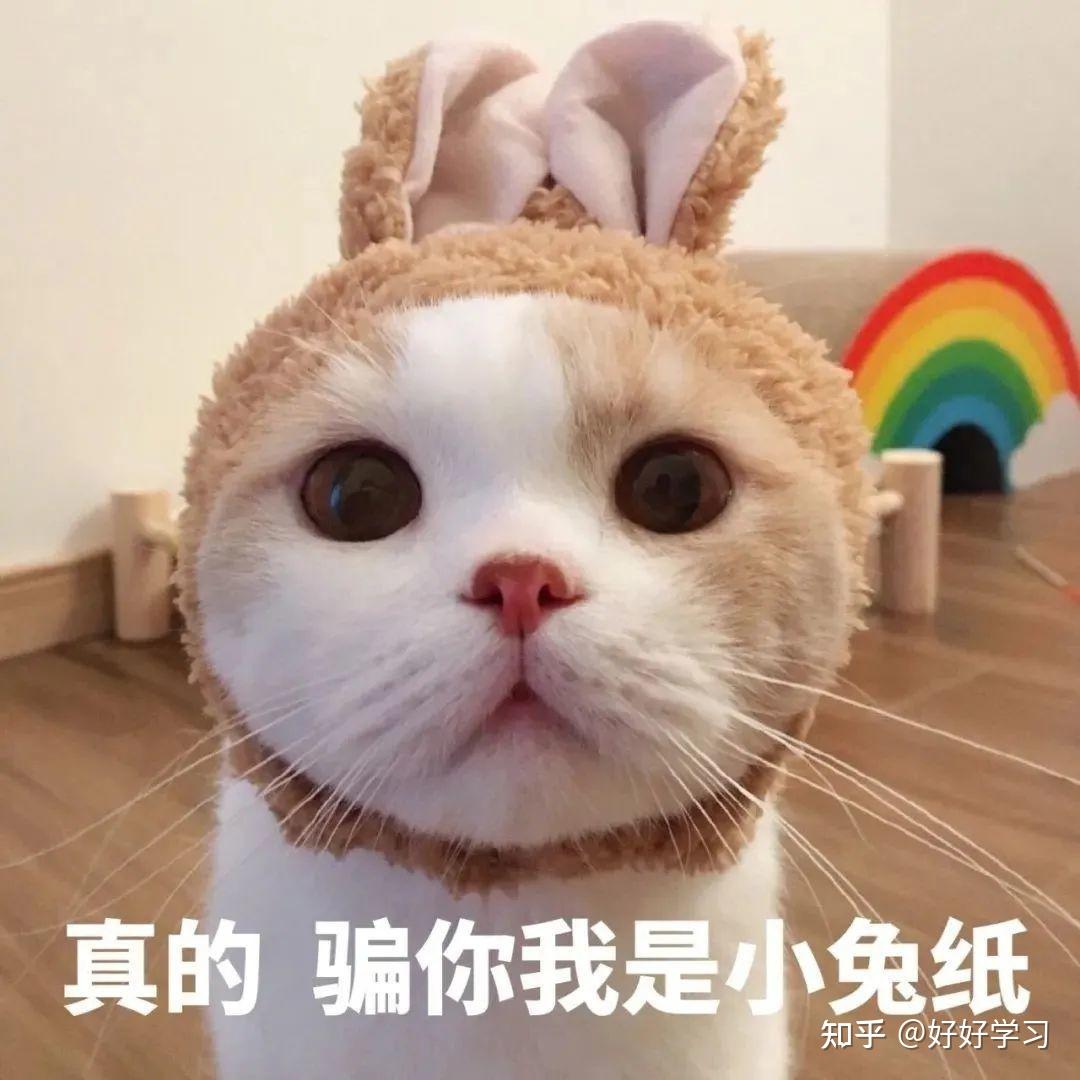 想知道PUK码怎么查？ - 知乎