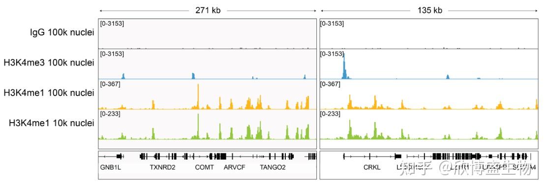 H3K4me1 Antibody—EpiCypher新品 - 知乎