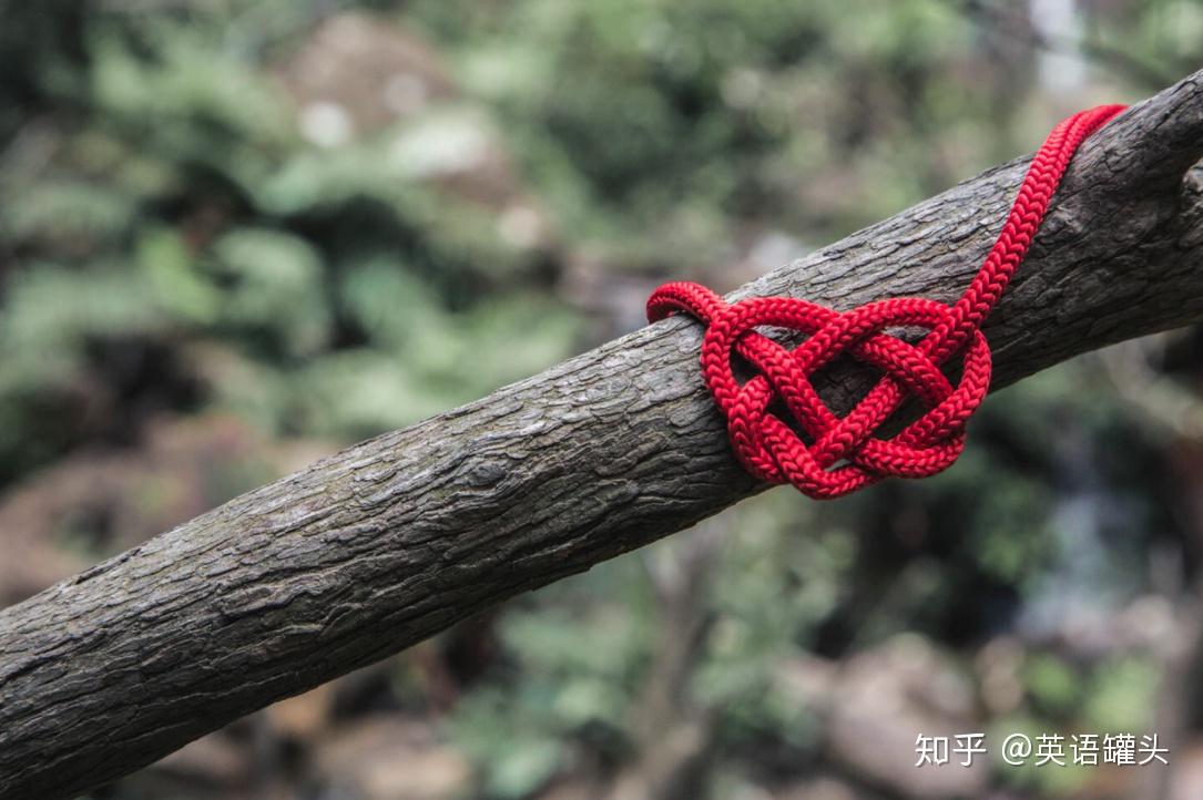 Rope是“绑”，那rope you in是“把你捆绑”？什么鬼畜翻译！ - 知乎