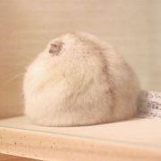 MPI调试技巧——基于Clion和GDB - 知乎