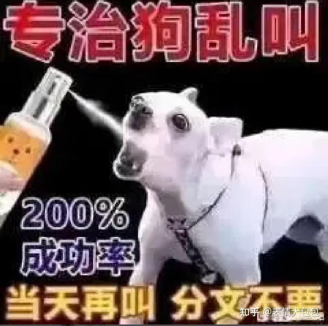 大家好！表情包来啦！ - 知乎