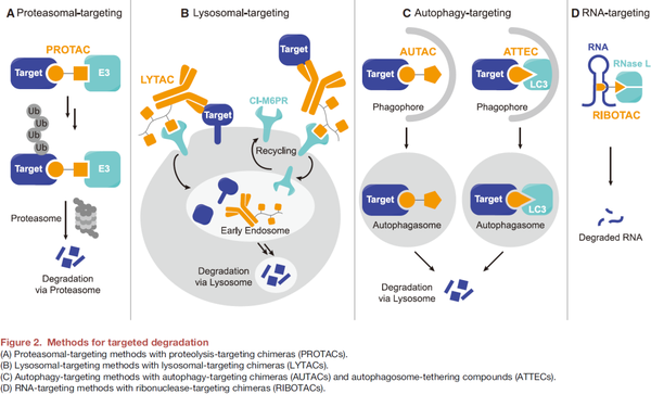 PROTAC外的其它双功能分子 - 知乎