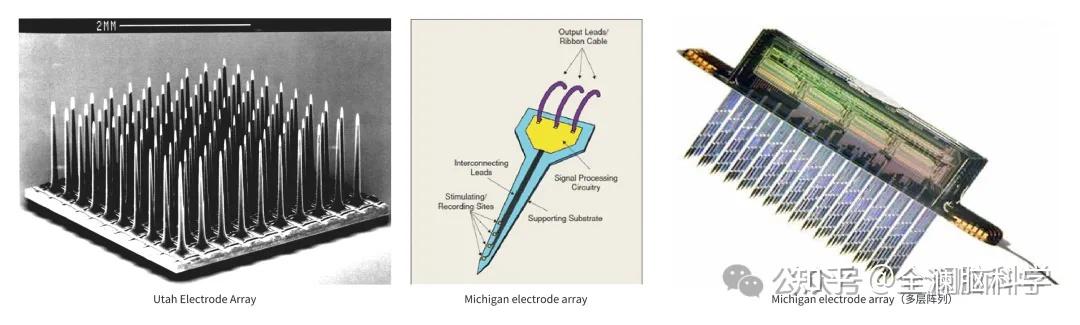 LFP 局部场电位简介（二） - 知乎
