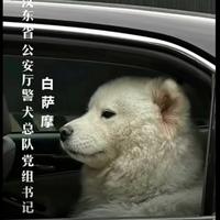 CMake的链接选项：PRIVATE，INTERFACE，PUBLIC - 知乎