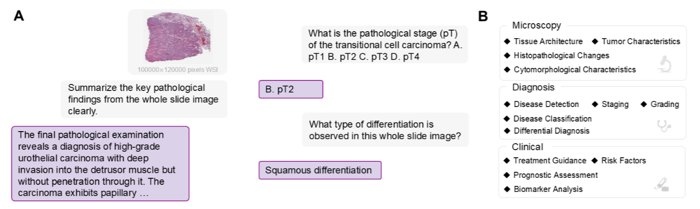 SlideChat：面向病理全切片图像理解的大型视觉-语言模型 - 知乎