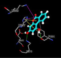 pymol作对接图第2版（3min快速做图） - 知乎