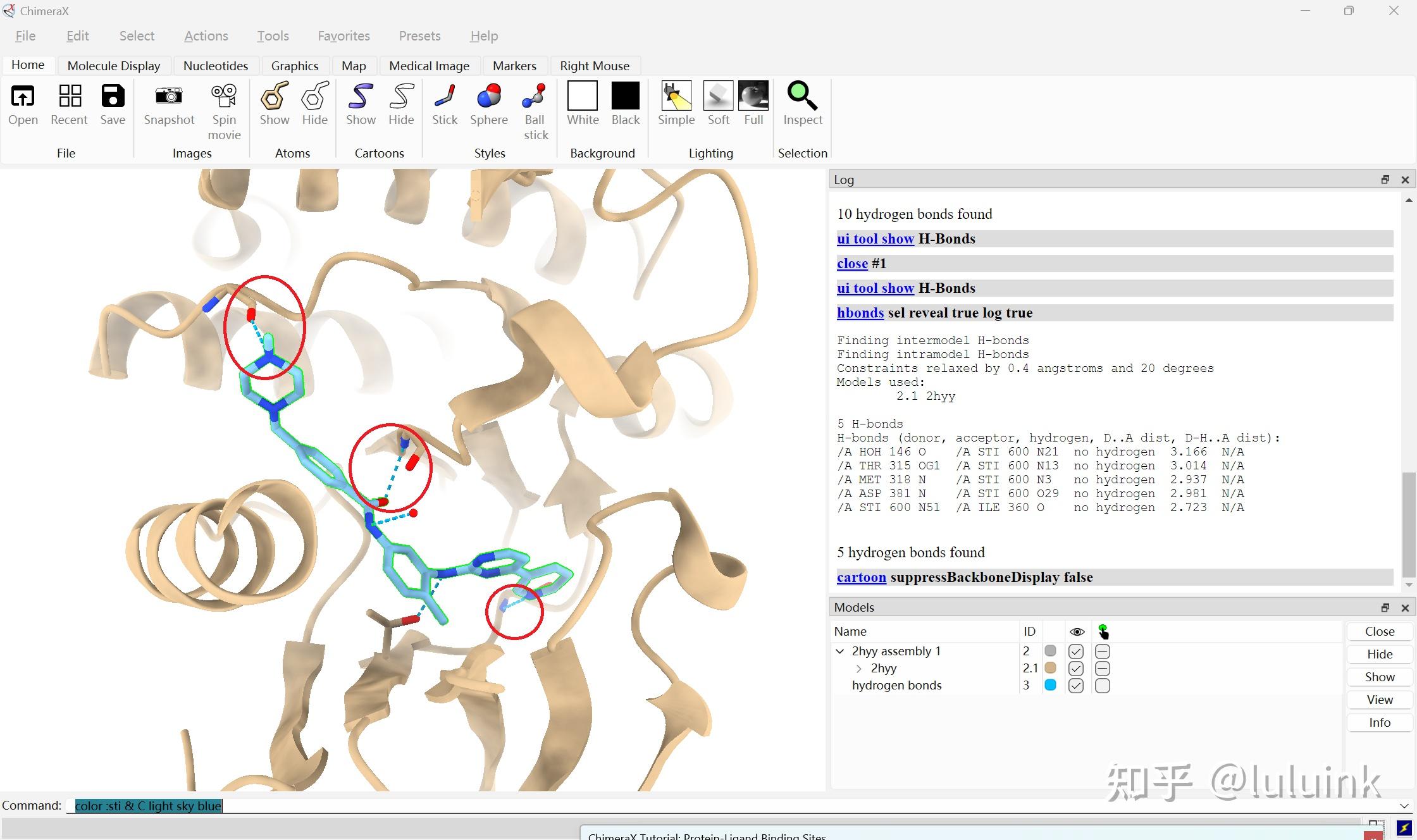 ChimeraX-蛋白质配体结合位点处的氢键分析 - 知乎