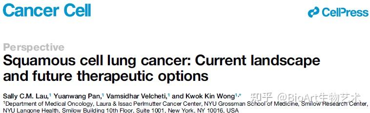 Cancer Cell观点 | 鳞状细胞肺癌：现状及未来疗法选择 - 知乎