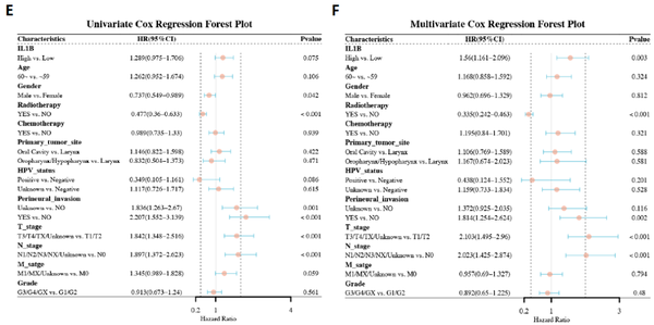 影像组学生信如何升级翻新？TCIA+TCGA数据库就能搞定！单基因分析+放射组学模型构建，发5分+纯生信简直so easy! - 知乎