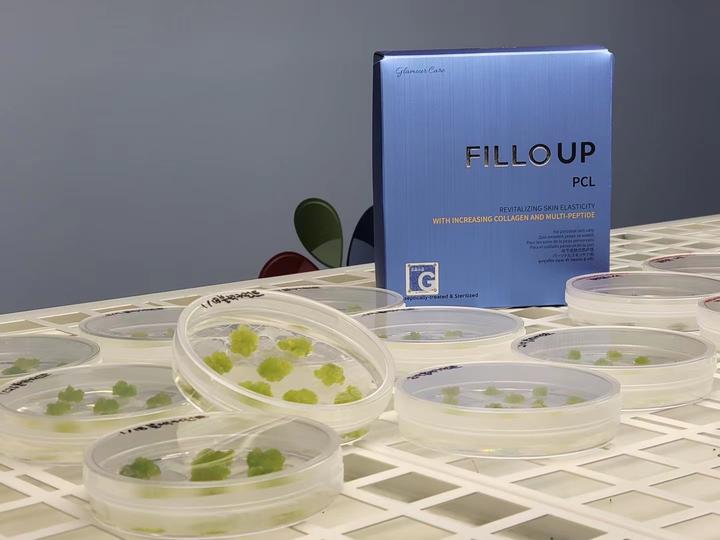 菲罗奥PCL提升水光 再掀“瘦脸风” - 知乎