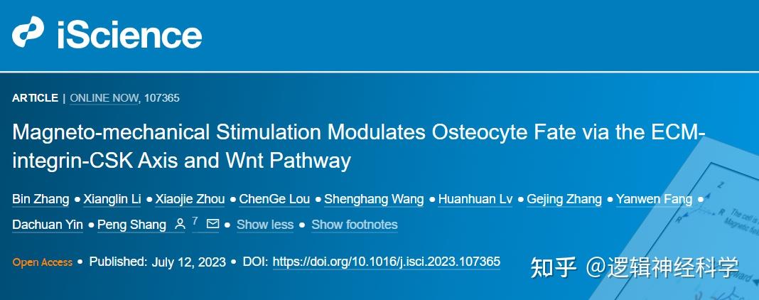iScience︱西北工业大学商澎研究团队揭示骨细胞感知磁力的生物过程及信号转导机制 - 知乎
