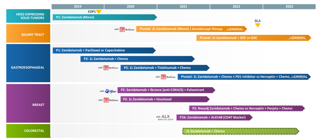 崭露头角的HER2后浪 —ZW25临床研究进展 - 知乎