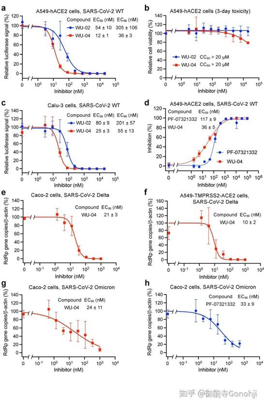 高效SARS-CoV-2 3CLpro非共价抑制剂的开发——中国自主研发新冠药物的发展历程 - 知乎