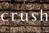 一词多用—crush的8大用法！ - 知乎