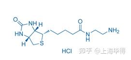 Biotin-linker：化学生物学中的独特应用 - 知乎